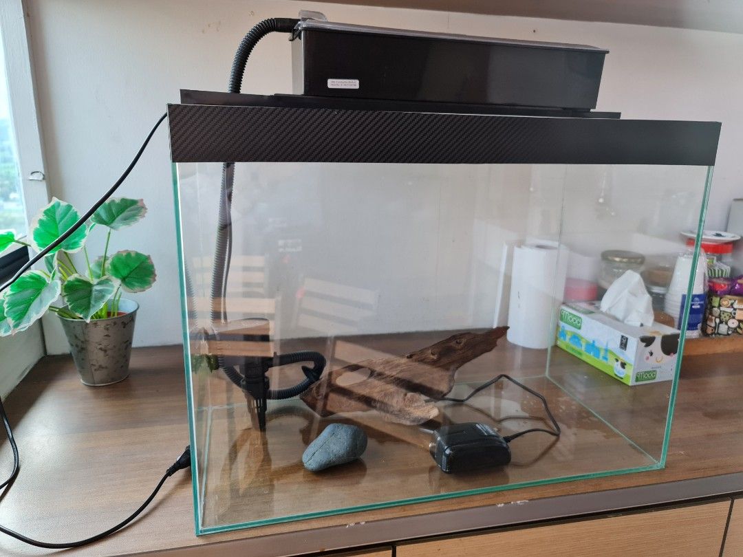 2ft tall tank complete set, Pet Supplies, Homes & Other Pet Accessories ...