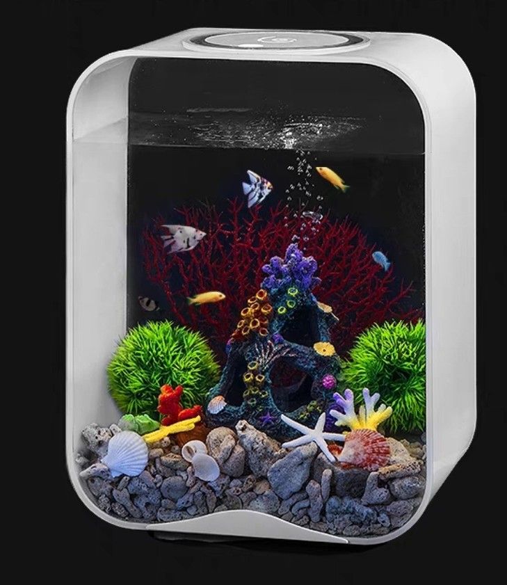 Acrylic Fish Tank, Pet Supplies, Homes & Other Pet Accessories on Carousell