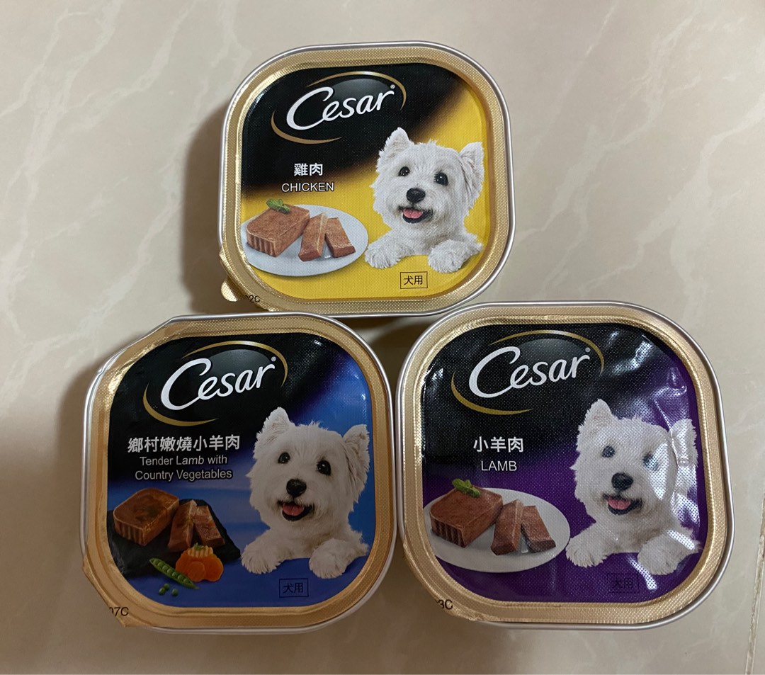 Cesar Dog Can Food, Pet Supplies, Pet Food on Carousell