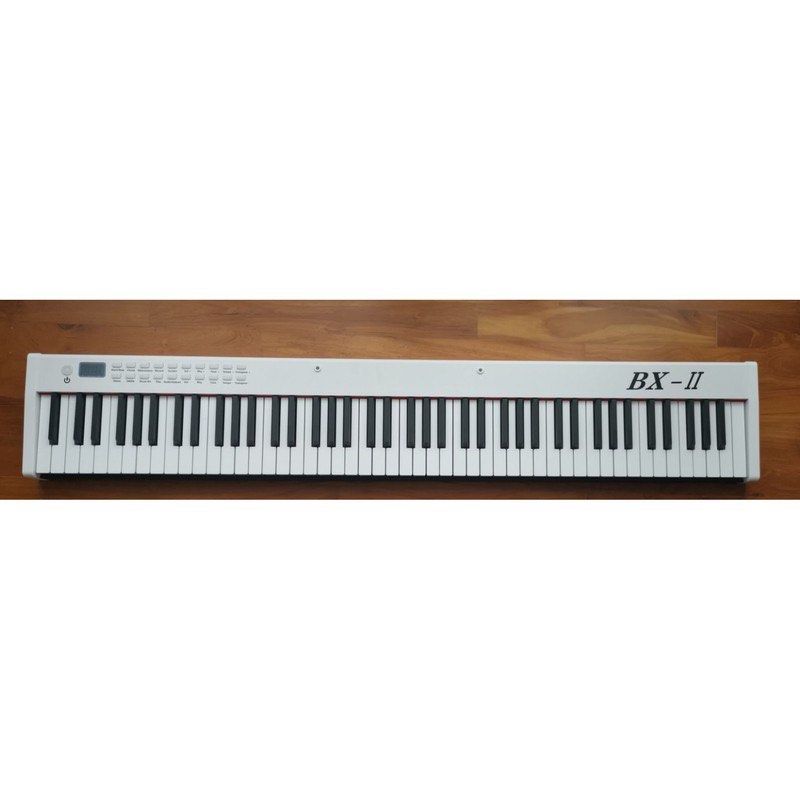 Digital Piano Keyboard BX-2 Electronic Piano, Hobbies & Toys, Music ...