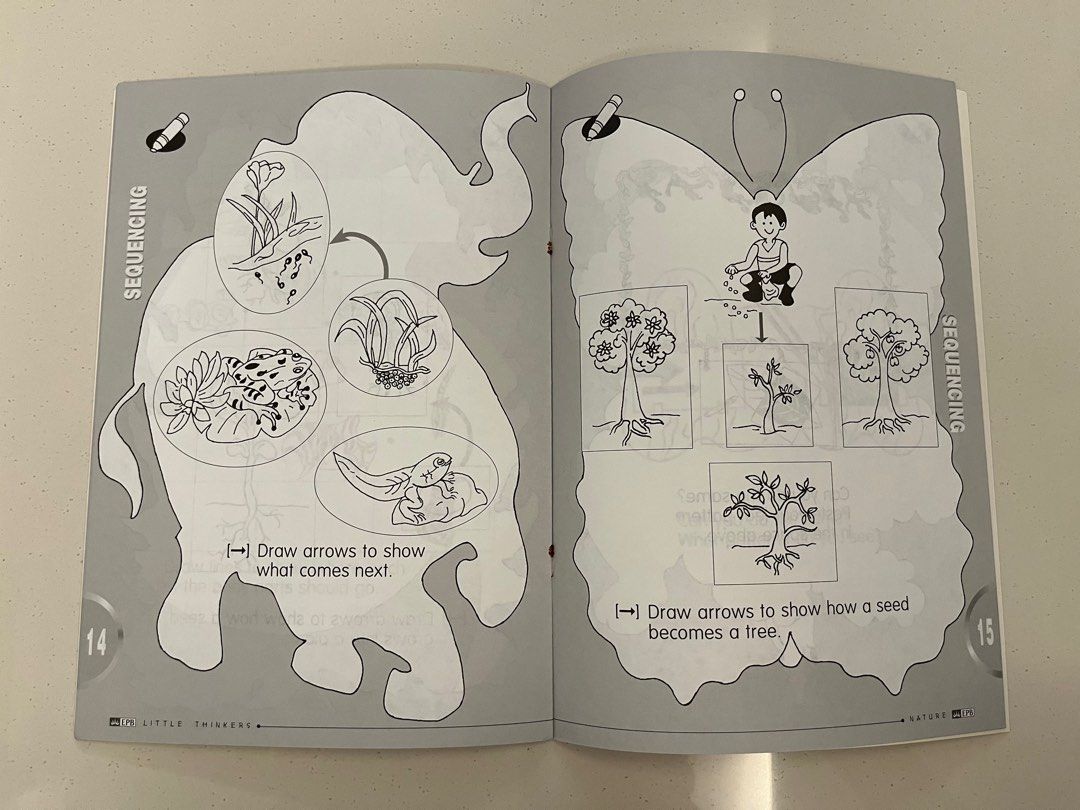 EPB Little Thinkers Activity Books for K2 - Thinking Skills (12 books ...