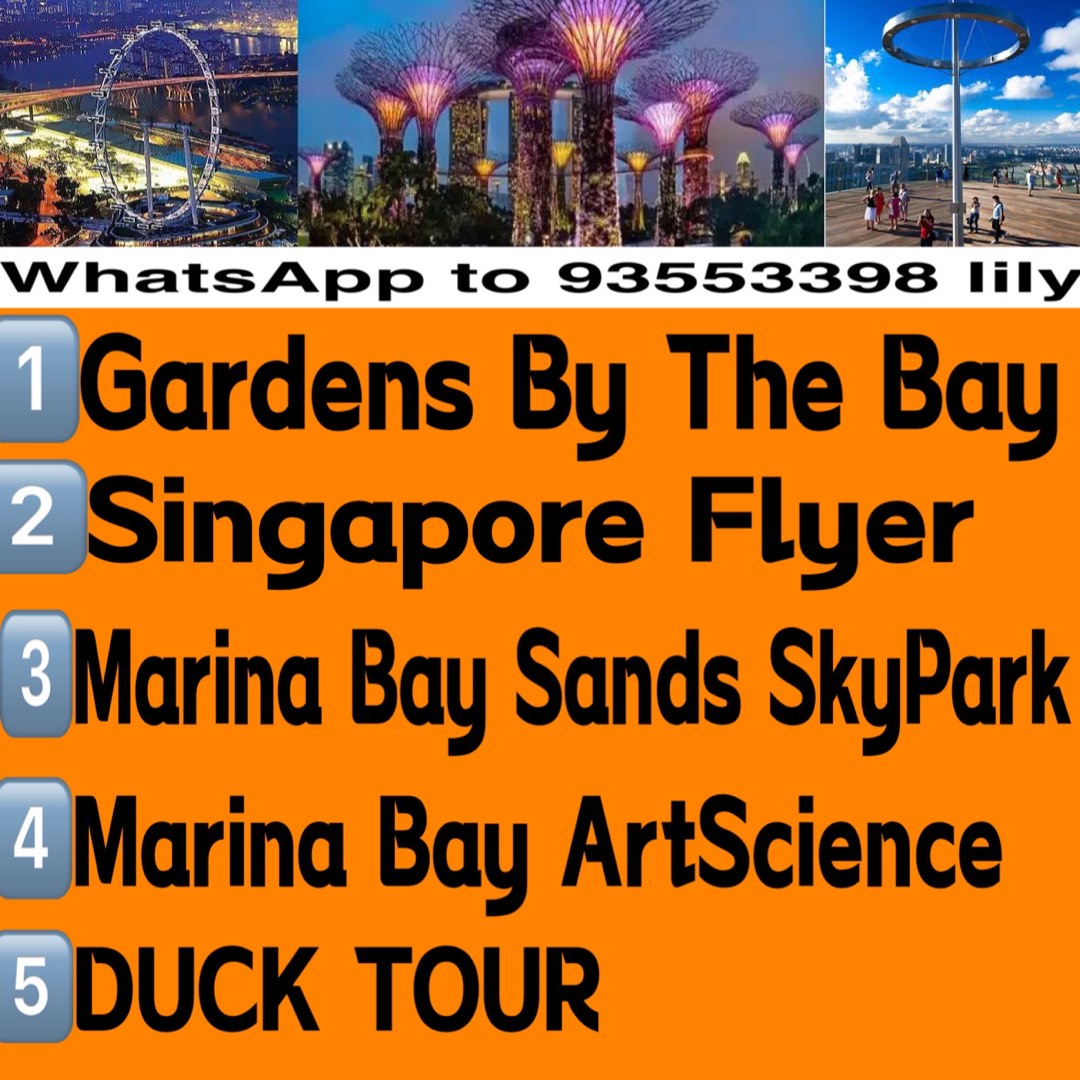 Gardens by the bay Singapore Flyer + Time Marina Bay Sands SkyPark ...