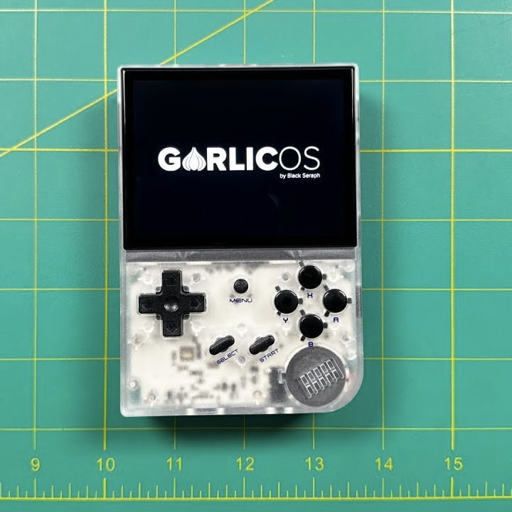 Garlic Os for Anbernic RG35xx, Video Gaming, Gaming Accessories ...