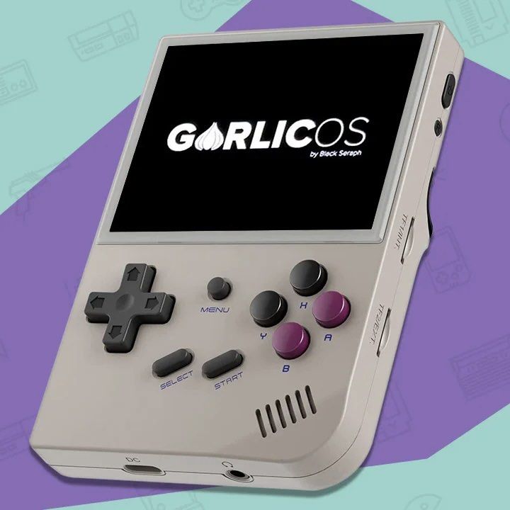 Garlic Os for Anbernic RG35xx, Video Gaming, Gaming Accessories ...