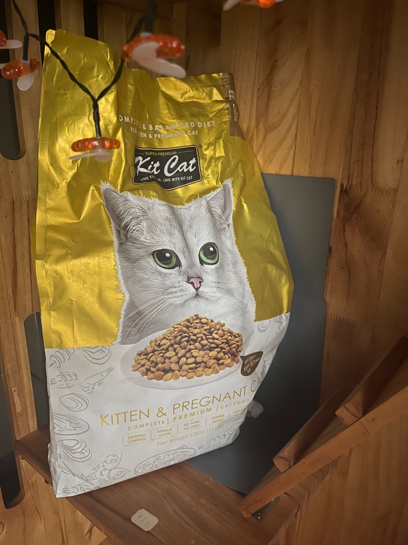 Kit Kat, Pet Supplies, Pet Food on Carousell