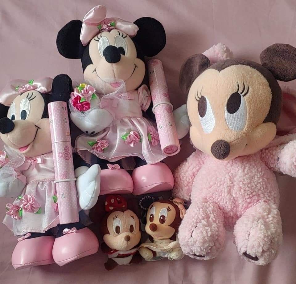 Minnie mouse one plush has flaw pls check pic, Hobbies & Toys, Toys ...