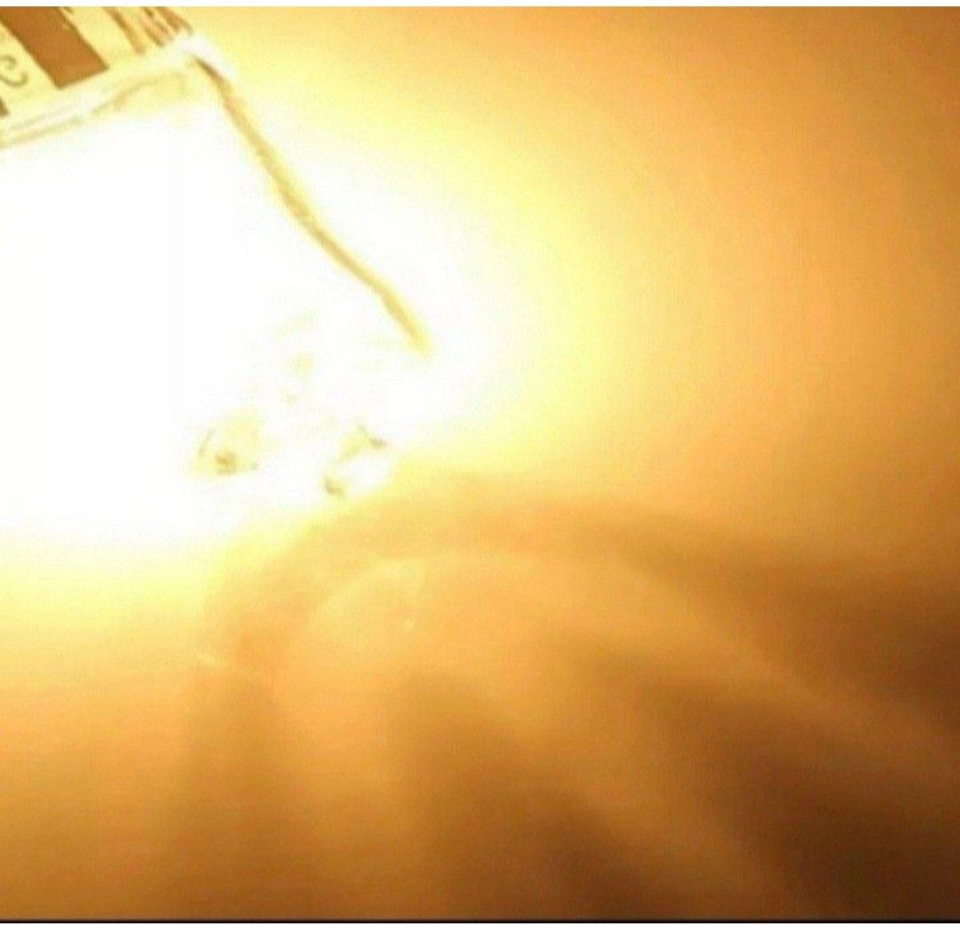 New 1 X 10Pcs X T10 Halogen Warm White Light Bulb For Toyota Hiace And ...