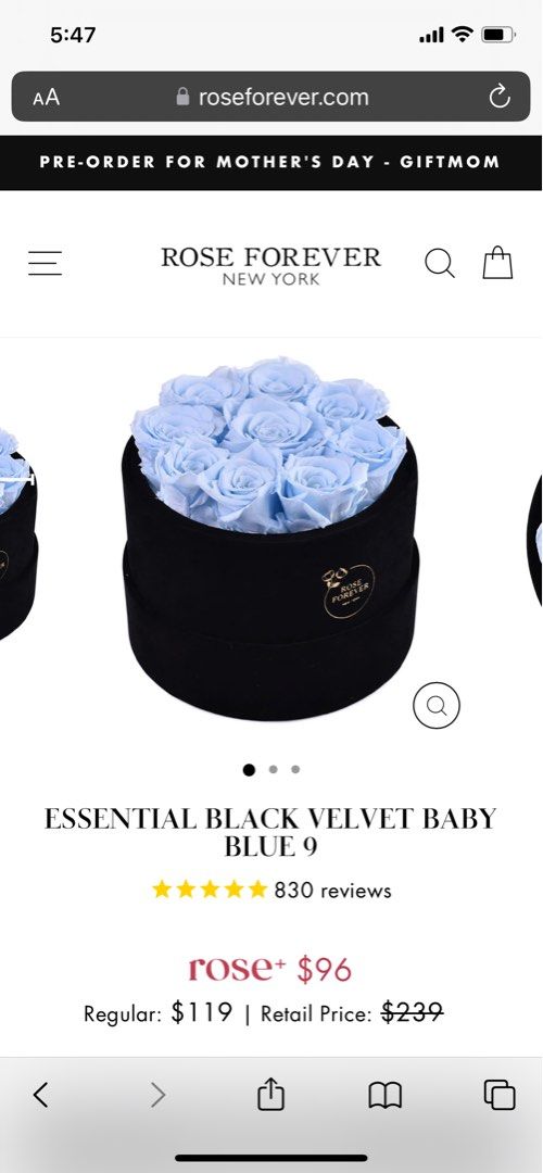 Preserved baby blue roses flowers box blue colour, Hobbies & Toys ...