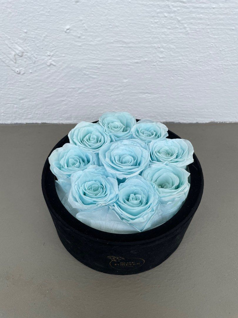 Preserved baby blue roses flowers box blue colour, Hobbies & Toys ...