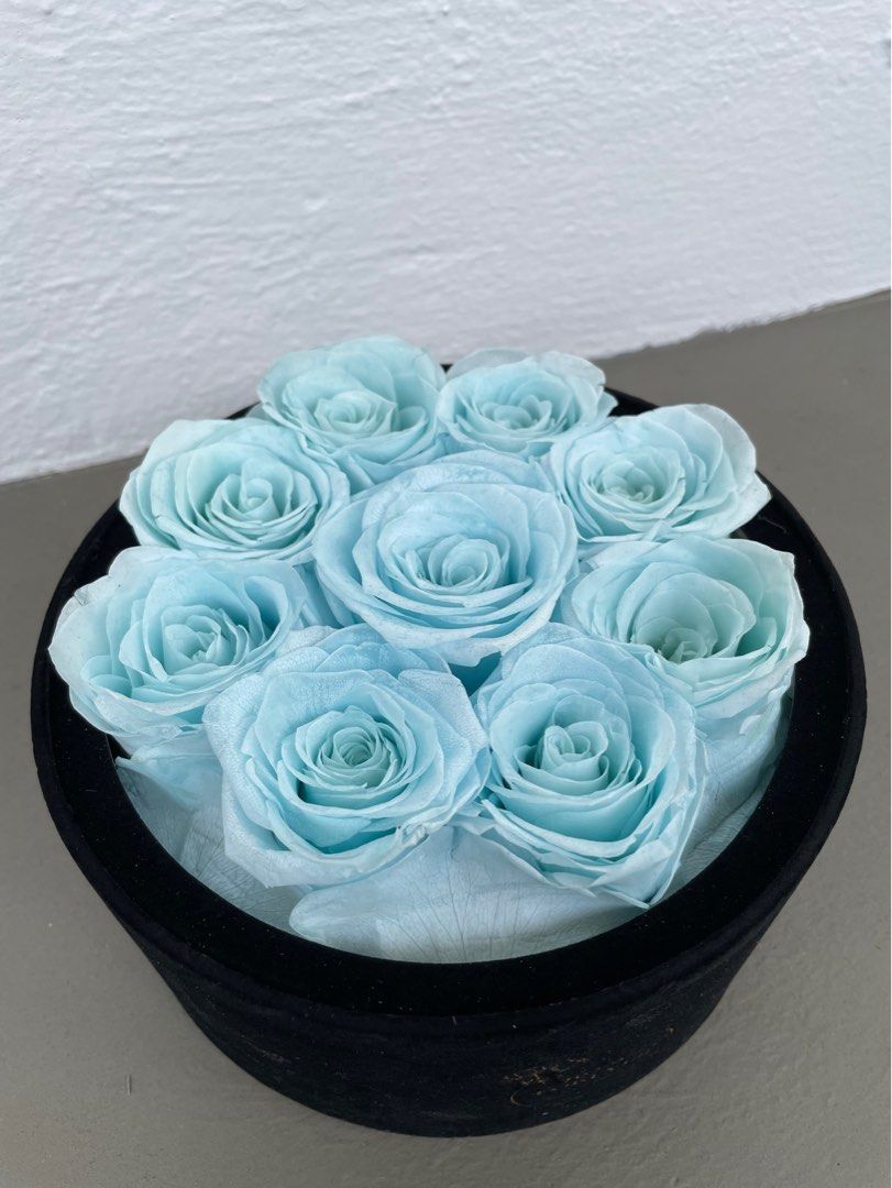 Preserved baby blue roses flowers box blue colour, Hobbies & Toys ...