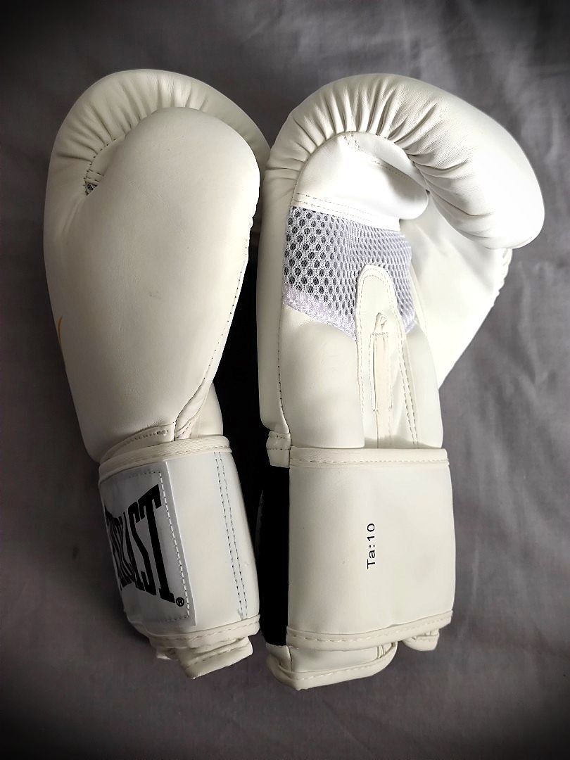 [8oz] Everlast Boxing Gloves, Sports Equipment, Other Sports Equipment ...