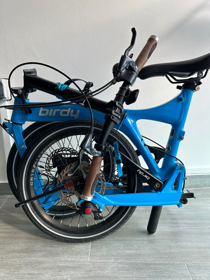 Birdy City Gen 3, Sports Equipment, Bicycles & Parts, Bicycles on Carousell