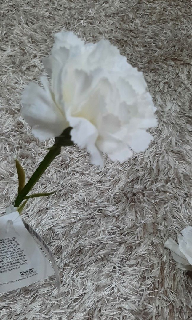 Bunga IKEA, Perabotan Rumah di Carousell