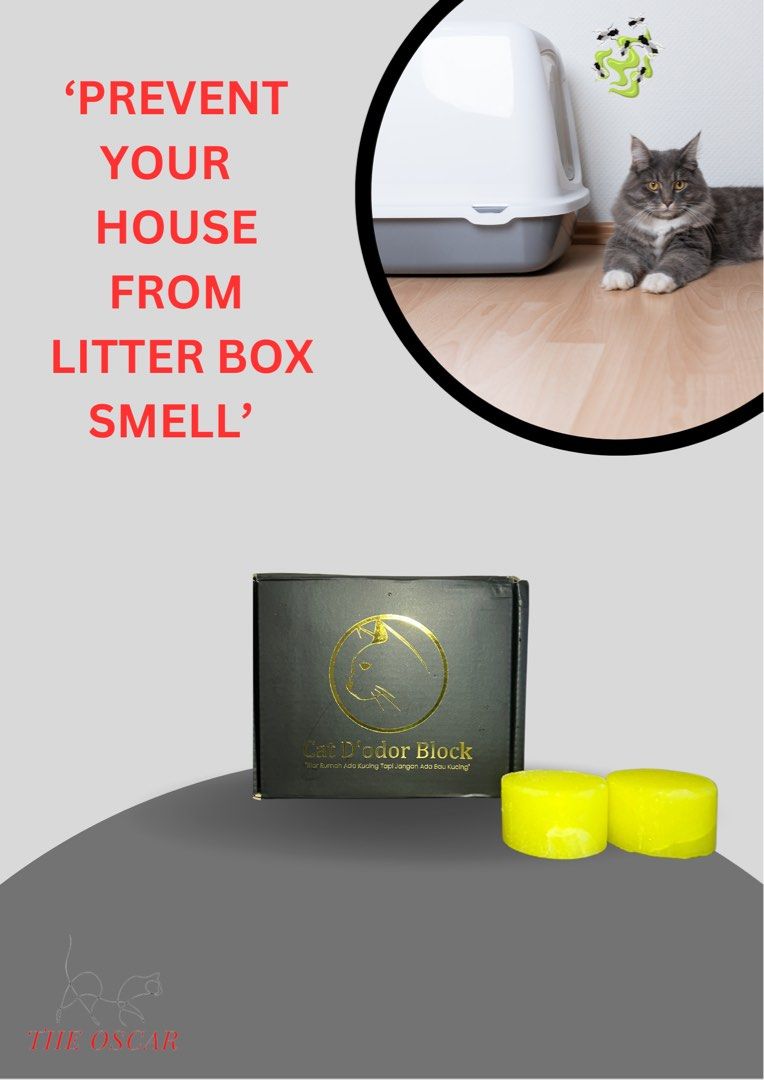 Cat D ‘ Odor Block, Pet Supplies, Homes & Other Pet Accessories on ...