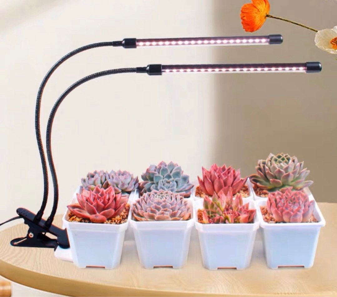 Clip on LED plant grow light / growth light (red and blue light) with ...
