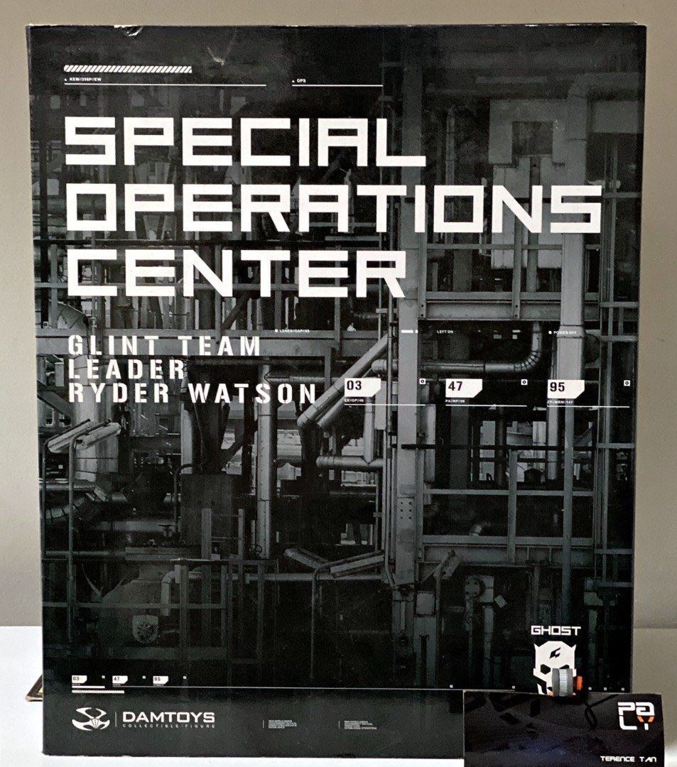 Damtoys 1/6 Ghost Series SF001 Special Operations Center Glint Team ...
