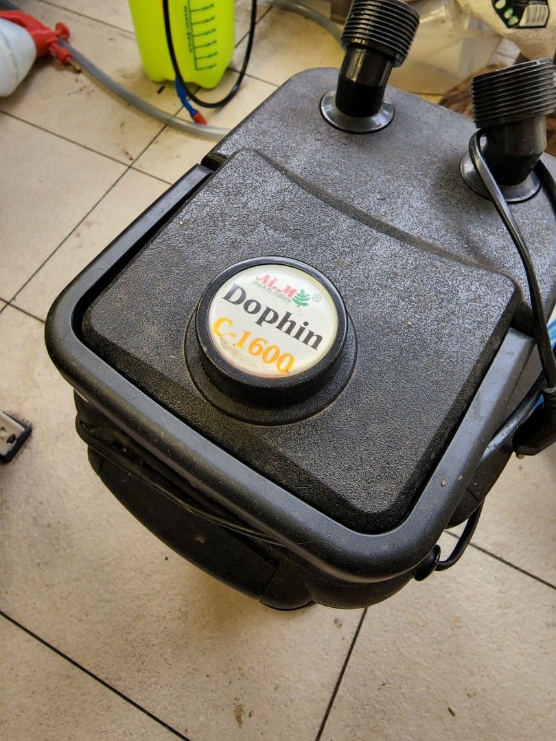 dolphin canister filter, Pet Supplies, Homes & Other Pet Accessories on ...