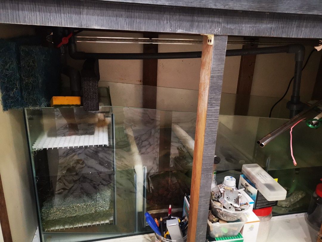 Fish tank with cabinet and internal filtering sump system, Pet Supplies ...