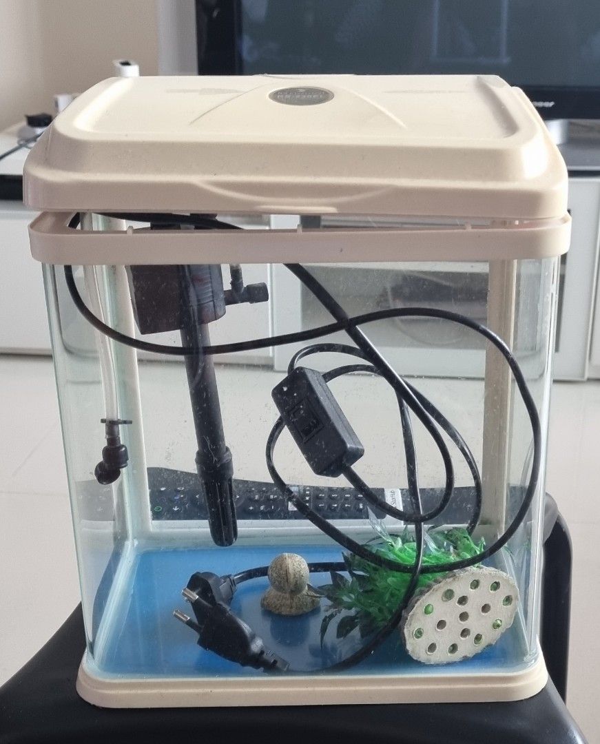 Full fish tank set with light pump, Pet Supplies, Homes & Other Pet ...