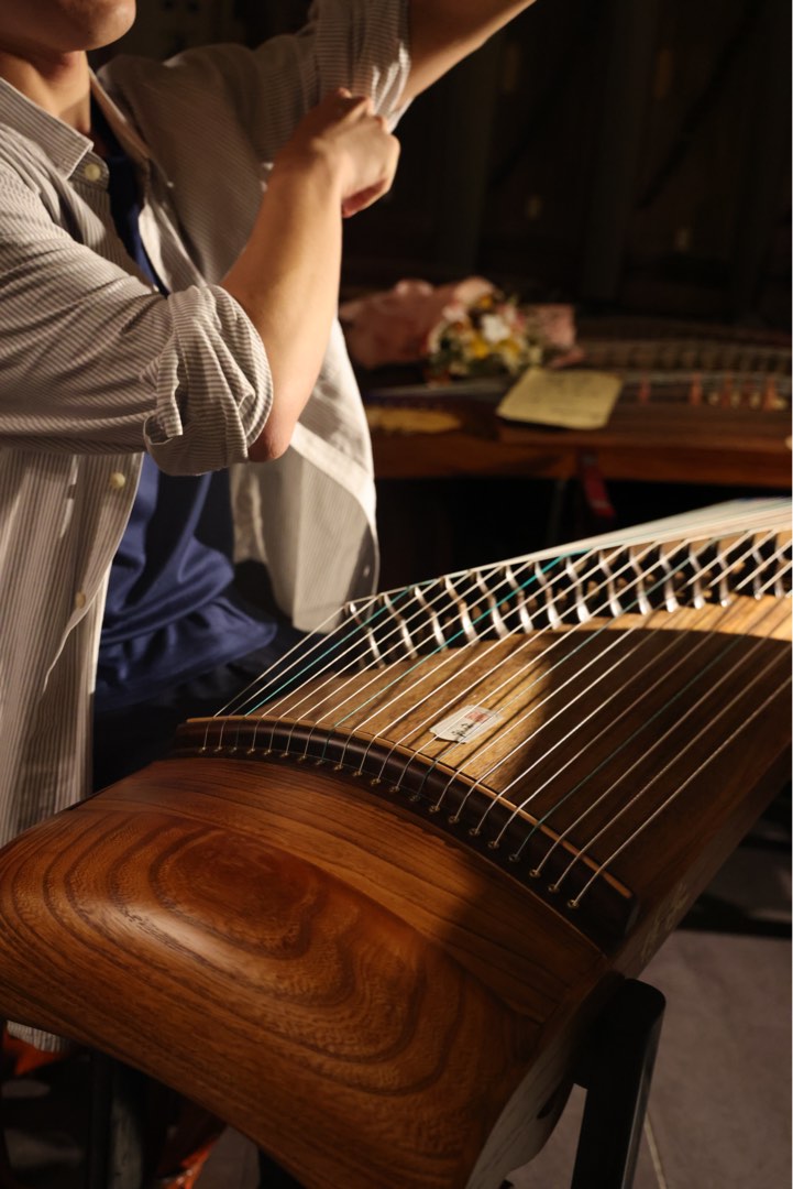 Guzheng Professional Performance Level, Hobbies & Toys, Music & Media ...
