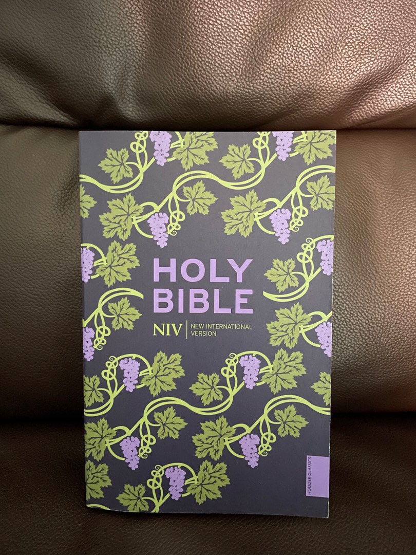 Holy Bible (New International Version), Hobbies & Toys, Books ...