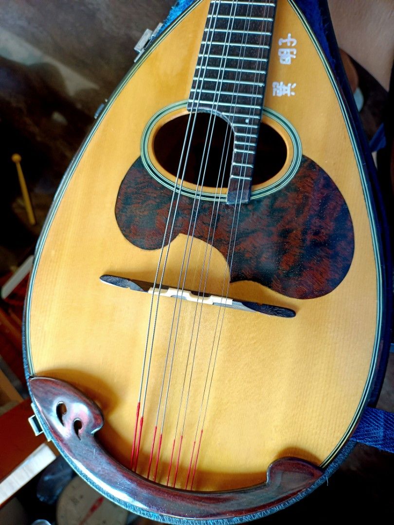 Mandolin by Suzuki Japan on Carousell