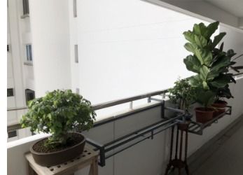 Modern Heavy Duty High Flower Plant Rack Balcony Display Shelf for HDB ...