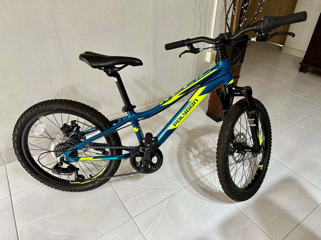 Polygon Relic 20 Mountain Bike _Pre Loved & Outgrown, Sports Equipment ...