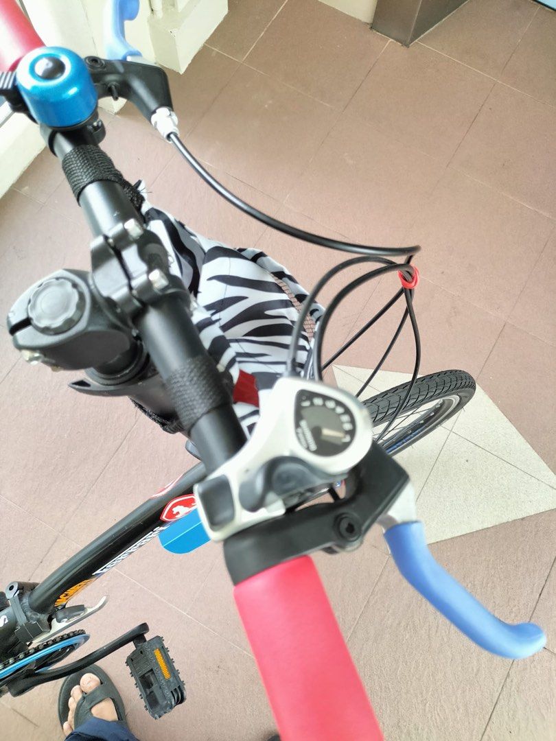 Raleigh Aluminum Frame "Ferrari" Racing Theme Foldable Bicycle 20" Bike ...