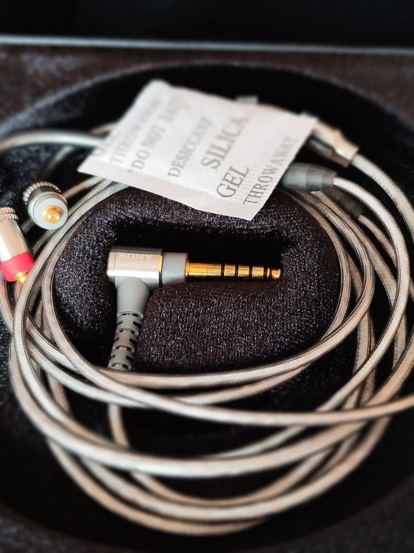 Sony IER-Z1R IEM, Audio, Earphones on Carousell