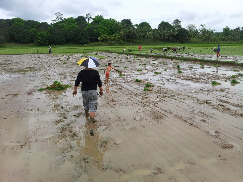 5 hectares of Agricultural Land for Sale in Mindanao - Aupagan ...