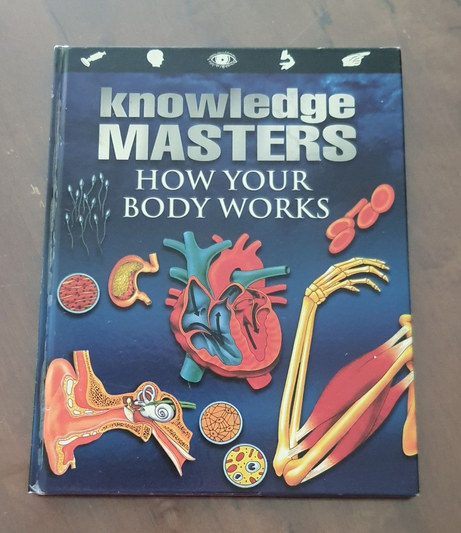 How Your Body Works, Hobbies & Toys, Books & Magazines, Storybooks on ...