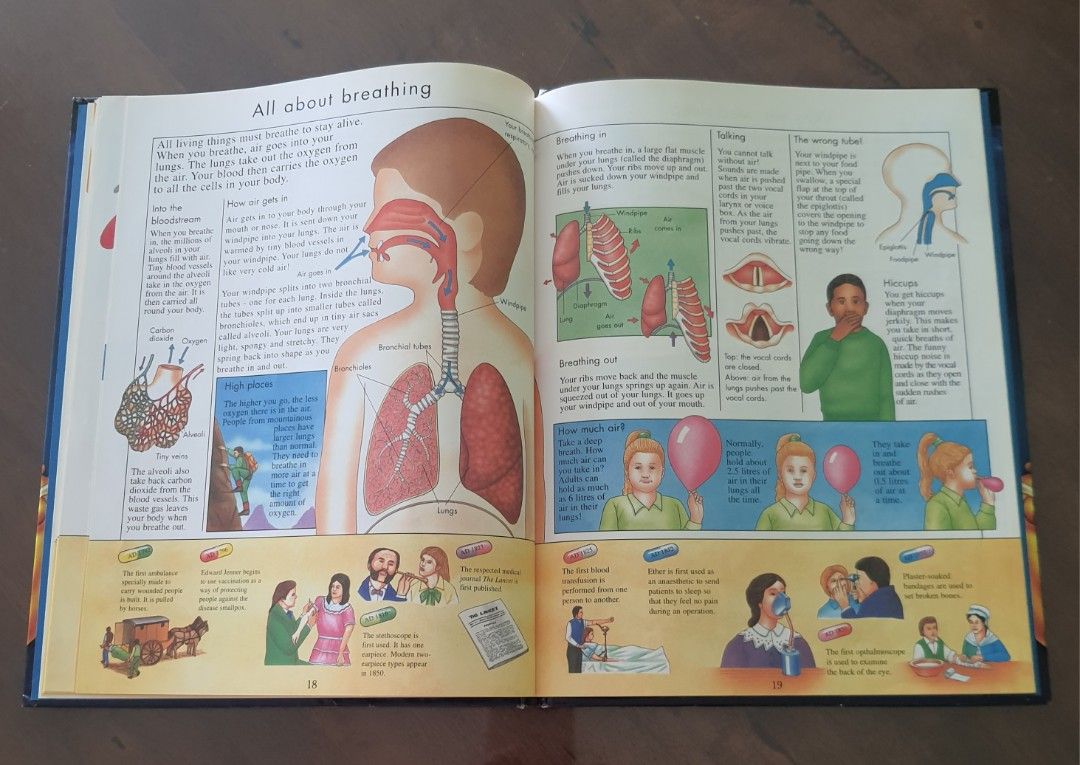 How Your Body Works, Hobbies & Toys, Books & Magazines, Storybooks on ...