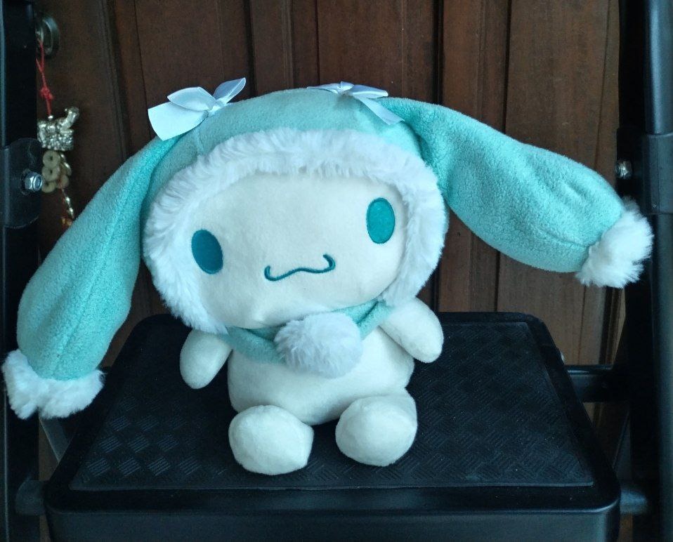 Sanrio Cinnamoroll Winter Cape with Ribbon Plush Toy 10" on Carousell