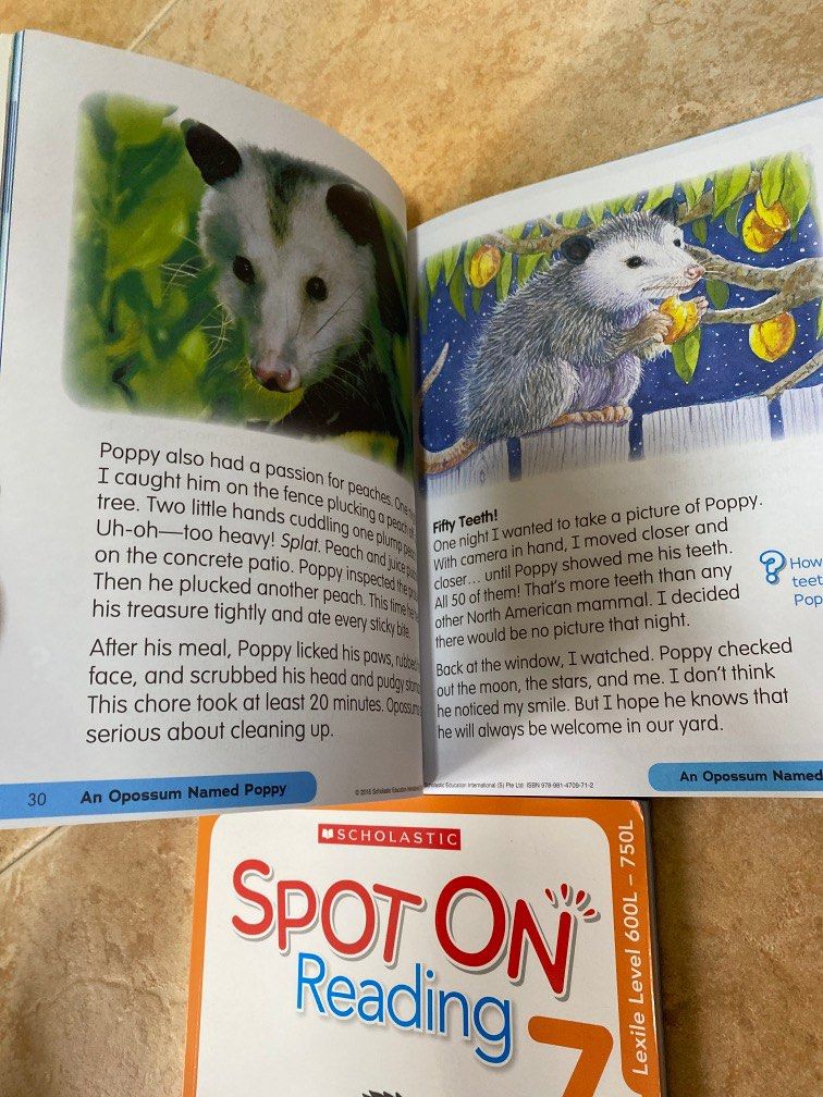 Scholastic Spot On Reading 5, 6 and 7, Hobbies & Toys, Books ...