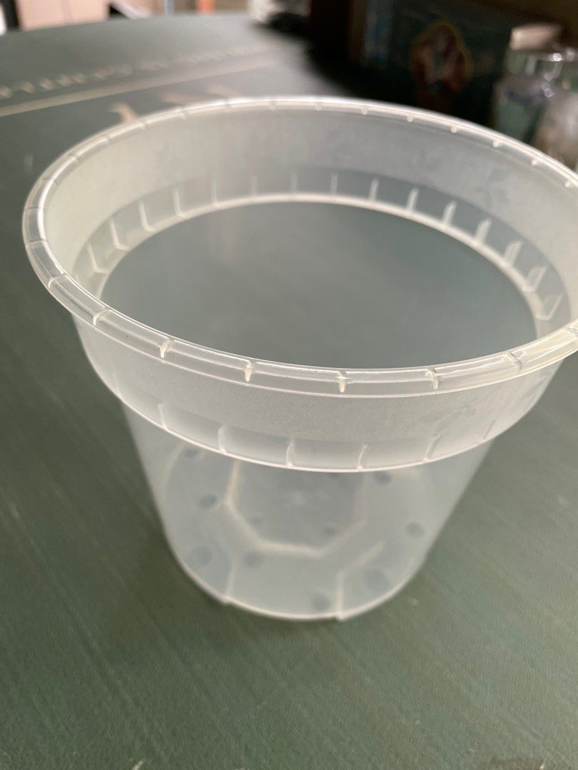 Transparent planting pot (14cm diameter), Furniture & Home Living ...