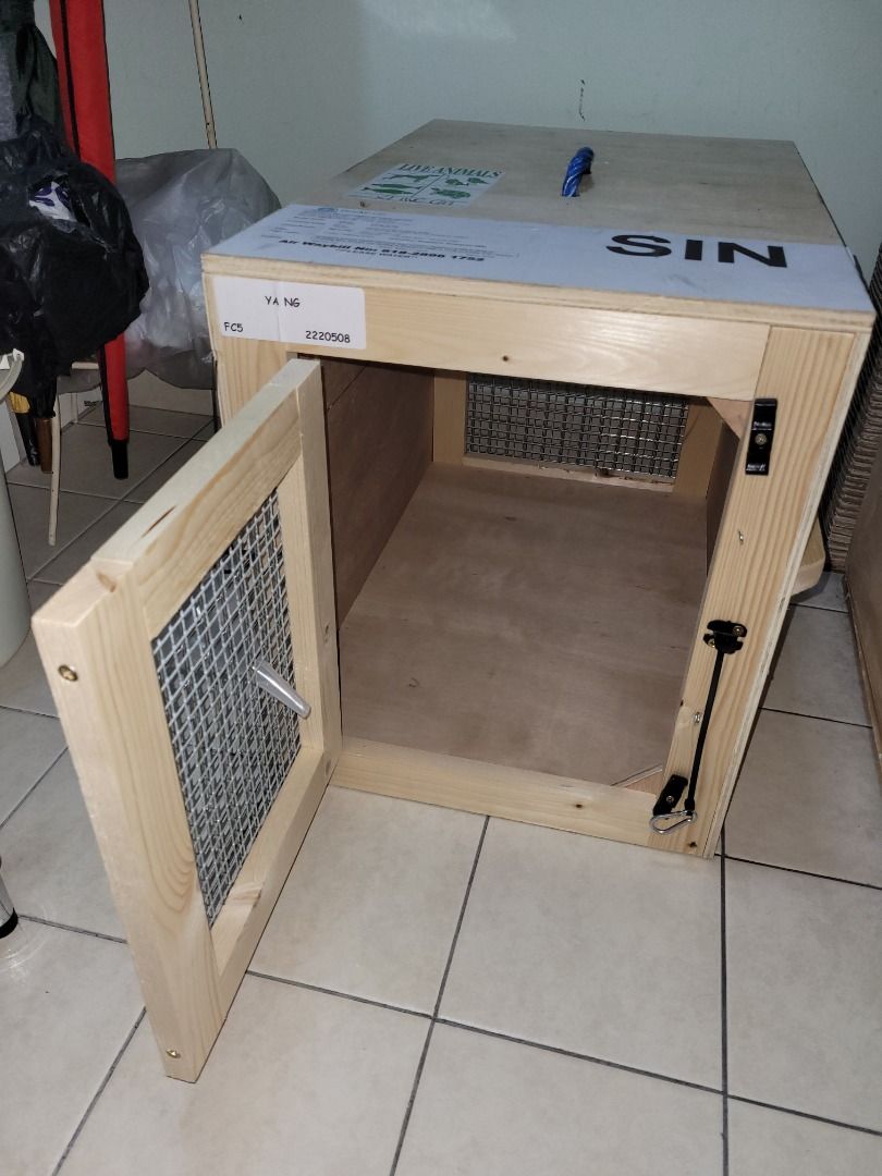 Wooden pet carrier _ IATA approved, Pet Supplies, Homes & Other Pet ...