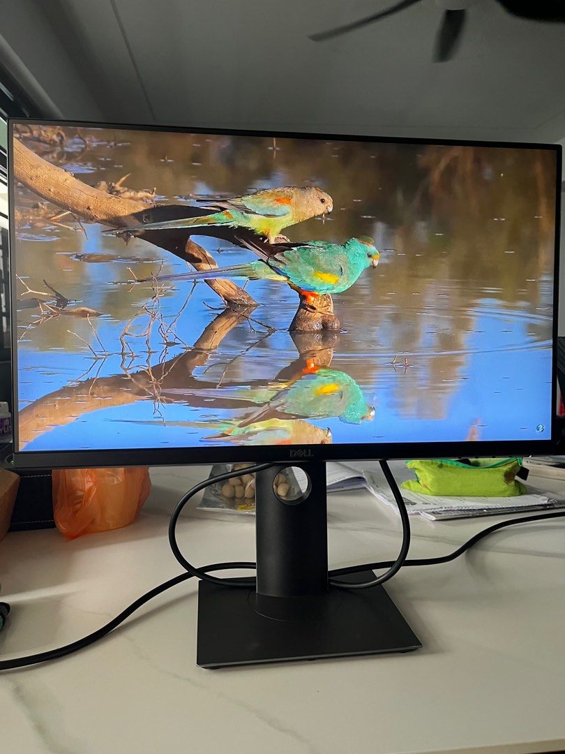 DELL P2319H 23" inch FHD IPS Monitor Height Swivel Rotate Landscape ...