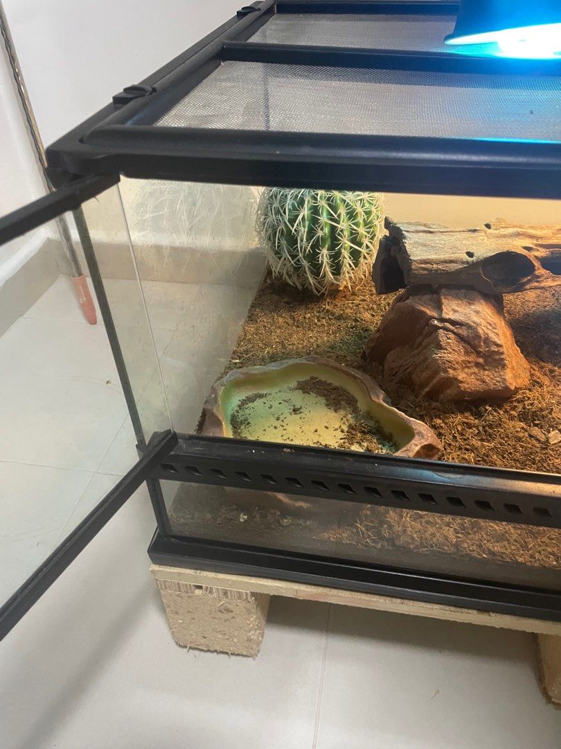 Exo terra tank, Pet Supplies, Homes & Other Pet Accessories on Carousell