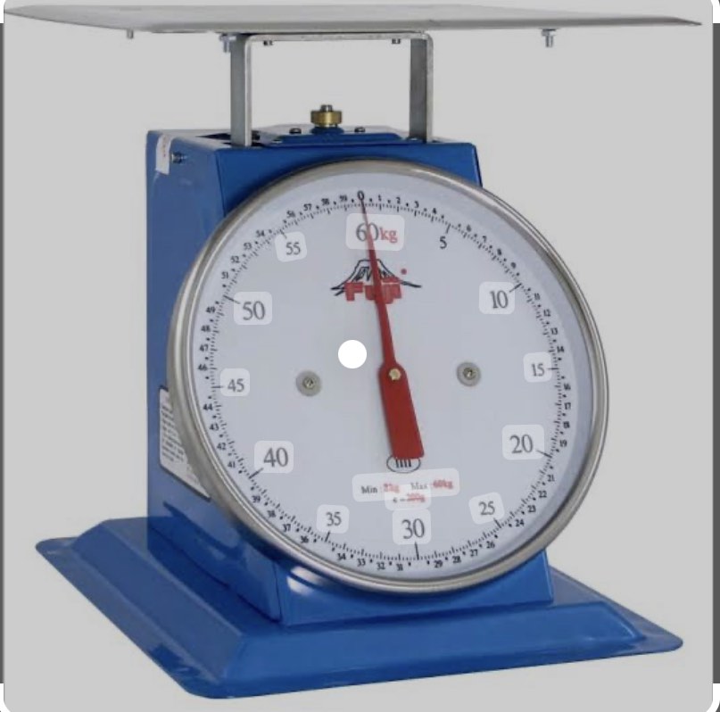 FUJI Weighing scale 60kg, Furniture & Home Living, Outdoor Furniture on ...