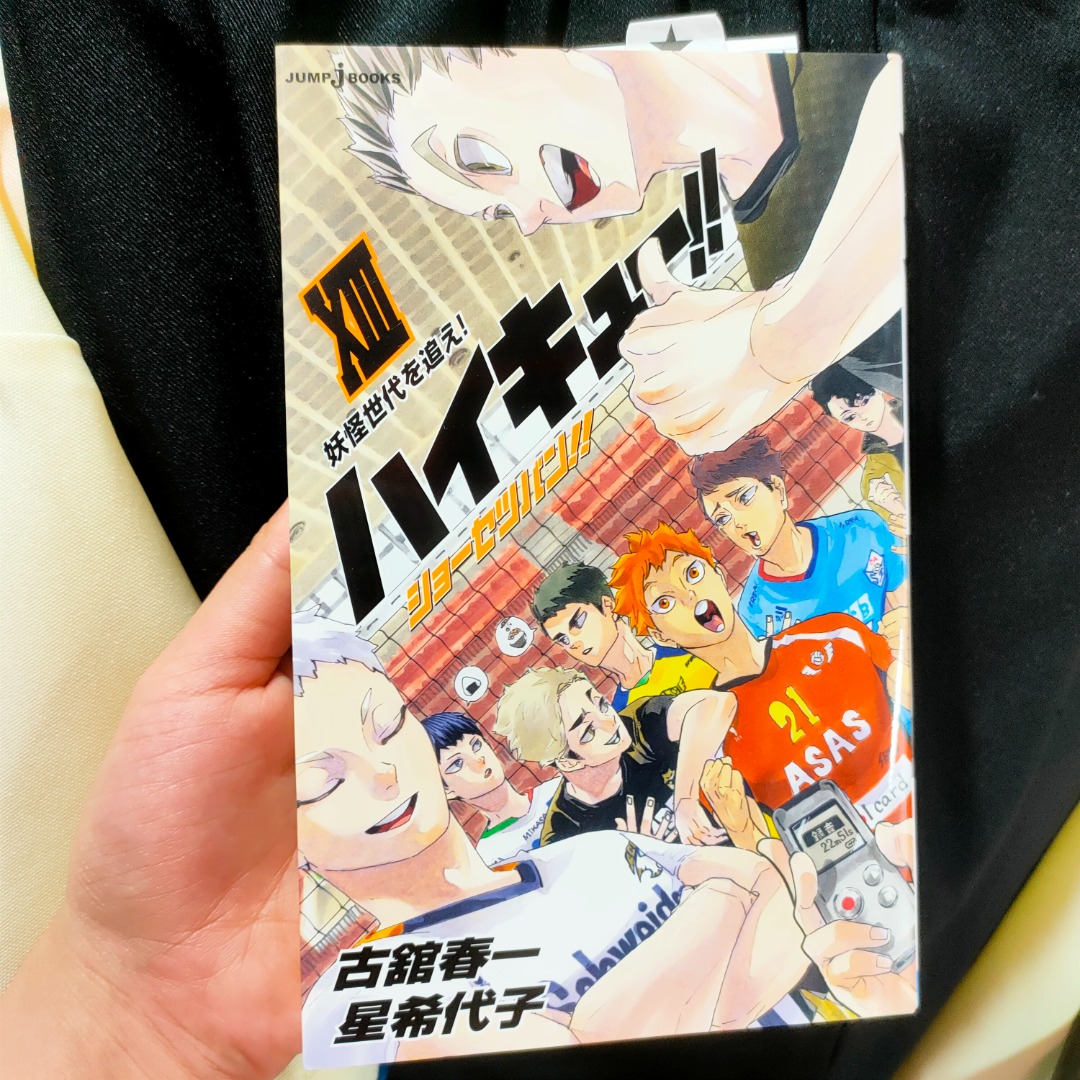HAIKYUU!! Light Novel Volume 13 (Japanese) Shosetsuban XIII, Hobbies ...