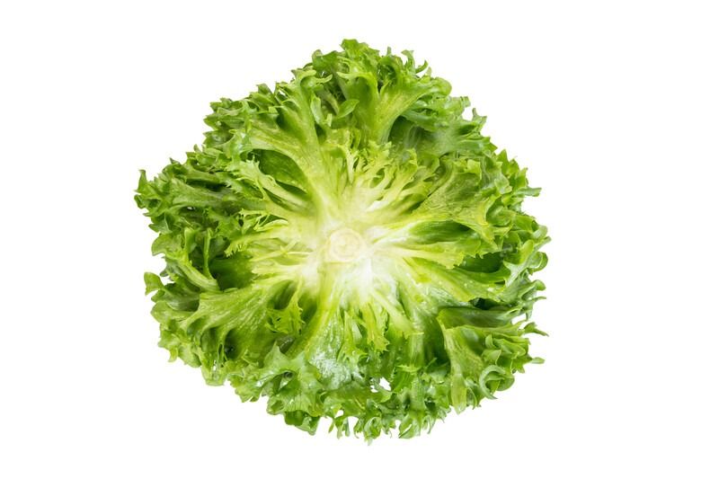 hydroponically grown dark green Crystal Lettuce Dunand (44-22) Rijk ...