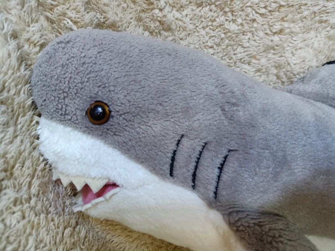 ORIGINAL OCEAN PARK HONGKONG REALISTIC SHARK, Hobbies & Toys, Toys ...