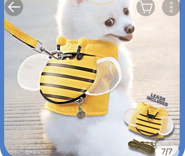 Pet Bee Harness with Leash Bag, Pet Supplies, Homes & Other Pet ...