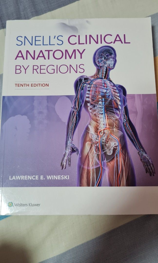 Snell Clinical Anatomy 10th Edition, Hobbies & Toys, Books & Magazines ...