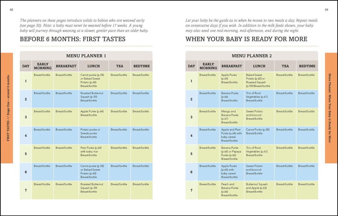 Weaning : New Edition - What to Feed, When to Feed and How to Feed your ...
