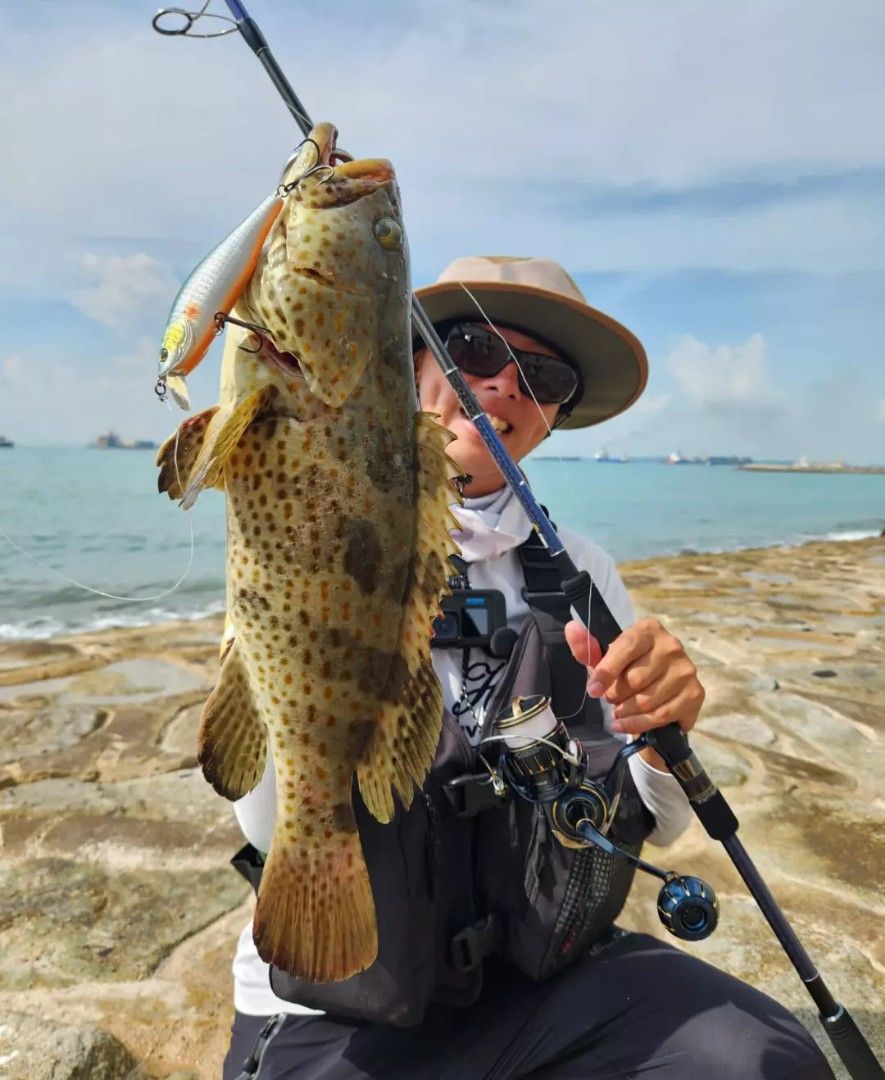 Xesta Runway XR The Cross Counter 97MMH Fishing rod, Sports Equipment ...