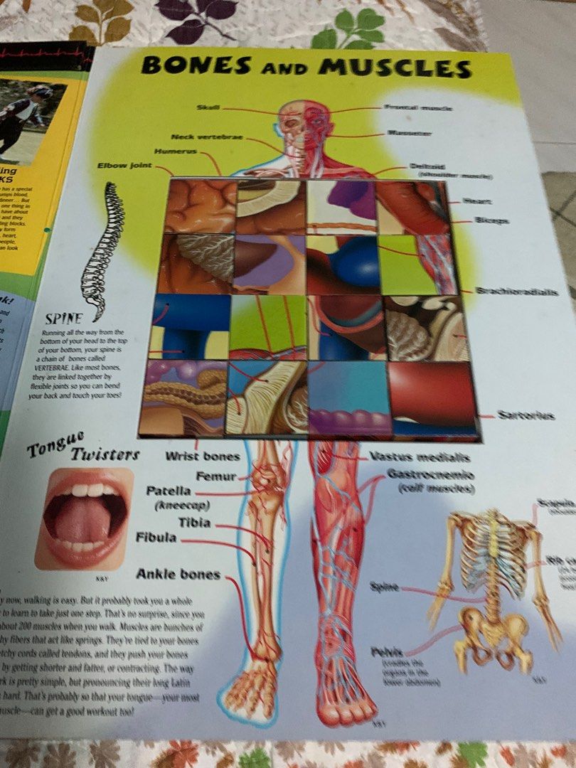 Big Block Book Atlas, Hobbies & Toys, Books & Magazines, Children's ...