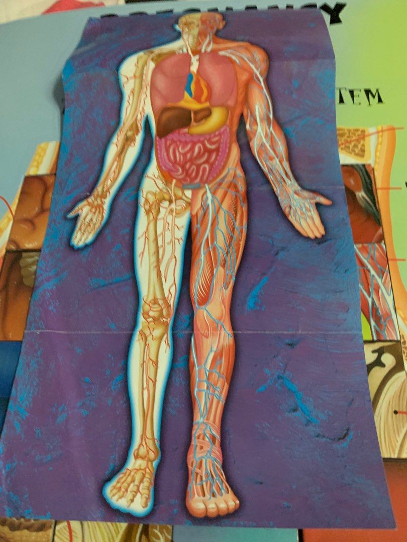 Big Block Book Atlas, Hobbies & Toys, Books & Magazines, Children's ...