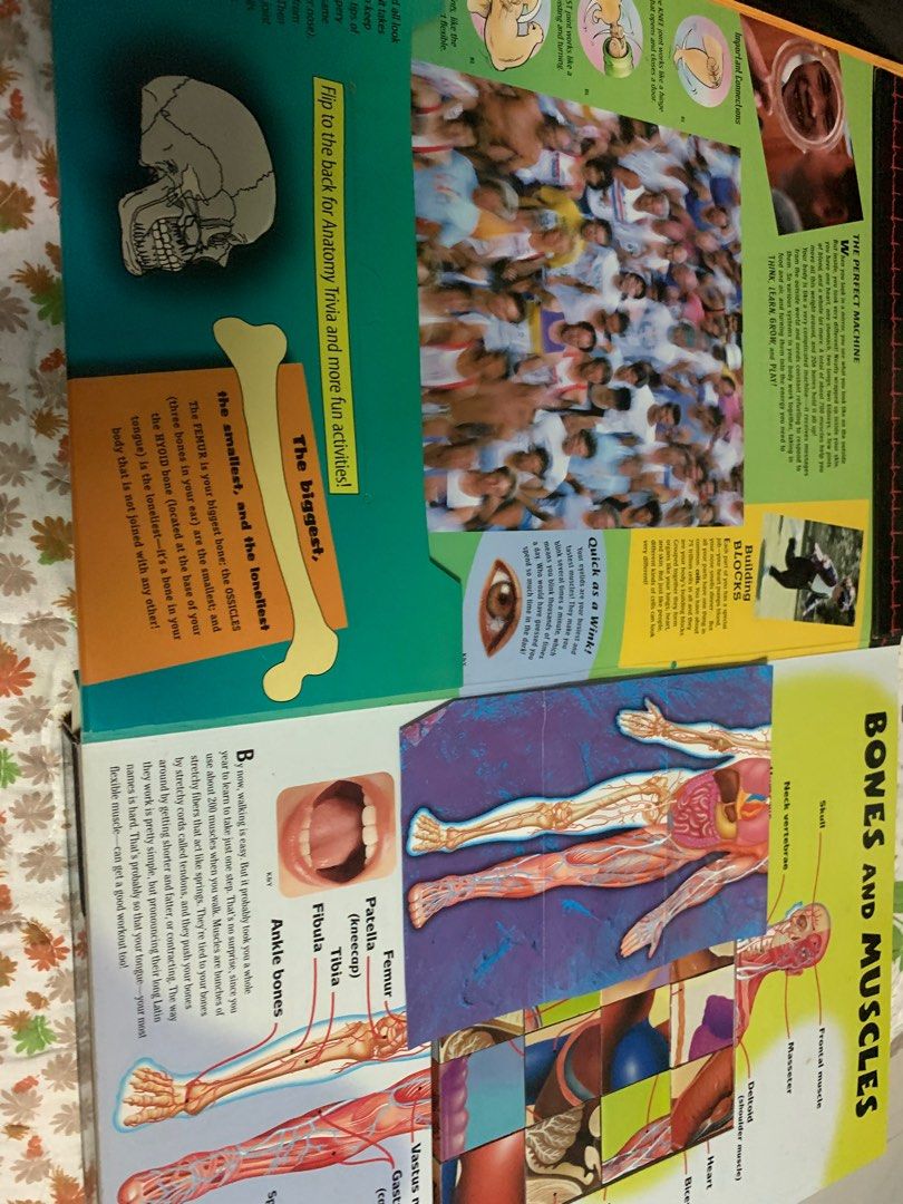 Big Block Book Atlas, Hobbies & Toys, Books & Magazines, Children's ...